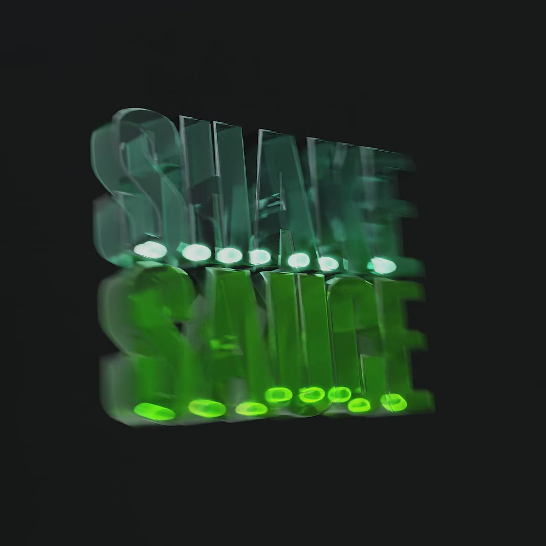 Shake Sauce 2 – bryandelimata